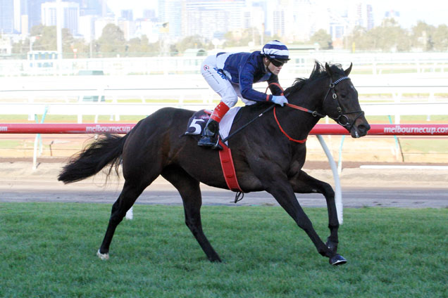 Supido Aiming At Lightning Stakes | Racing and Sports