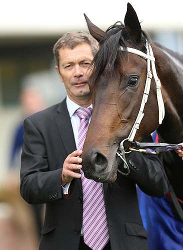 Mckee Calls Time On Training Career | Racing and Sports