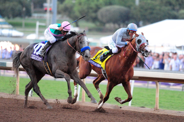 Arrogate Thriving As Star Colt Targets World Domination | Racing and Sports