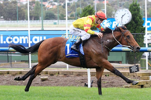 Cao Cao Presses Claims For Magic Millions | Racing and Sports