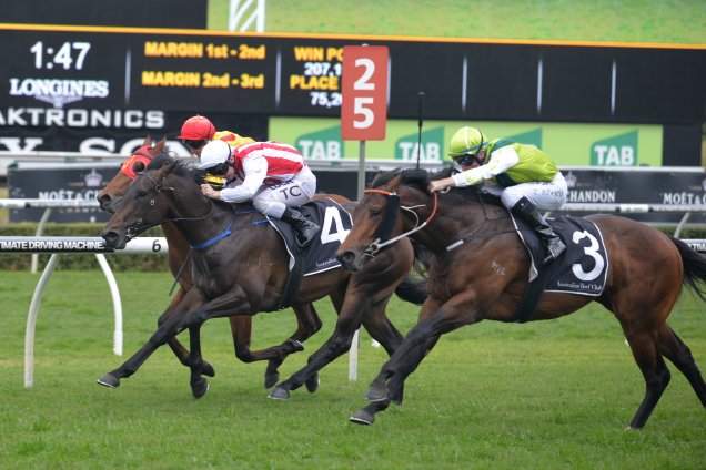 Up And Coming Stakes - What The Jockeys Said | Racing and Sports