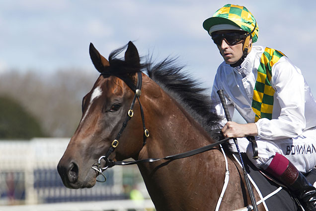 El Divino Out To Make More Family History | Racing and Sports