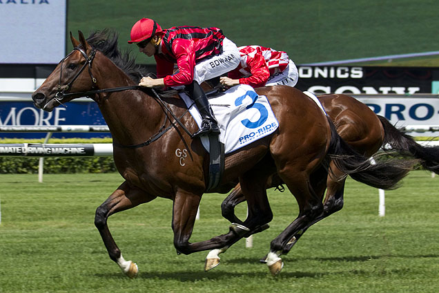 Good Standing To Run In Stan Fox Stakes | Racing and Sports