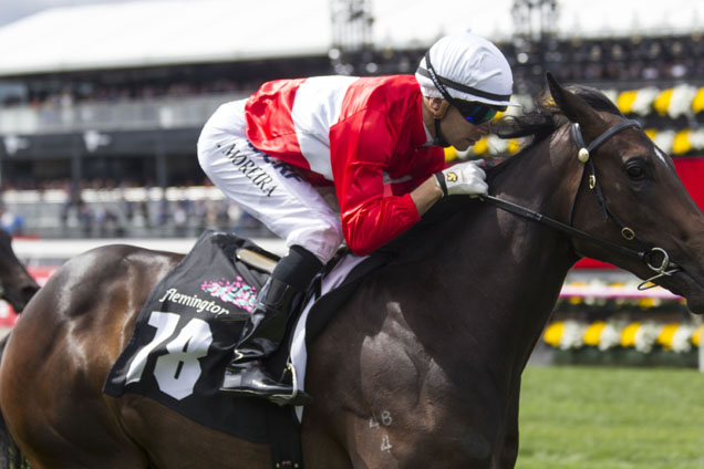 Invincible Star Too Slick In Caulfield Win | Racing and Sports