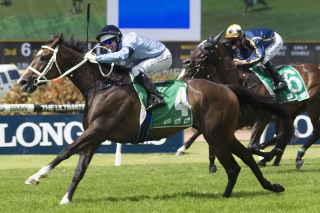 The Championships - Market Moves After Day 1 | Racing and Sports