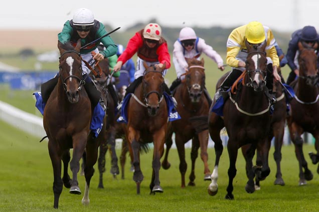 Limato Sprint Cup Bid Set To Be Scuppered By Haydock Ground | Racing ...