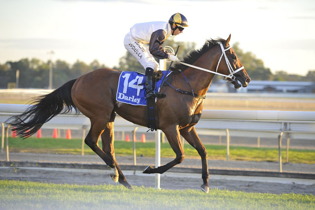 Weir Still In The Race For Waller's Title | Racing and Sports