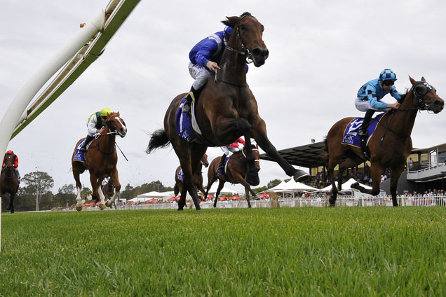 Wyong Winners - Tips For Thursday, 15th June 2023 | Racing and Sports
