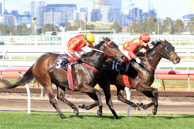 Mark Currie Outed For Two Years | Racing and Sports