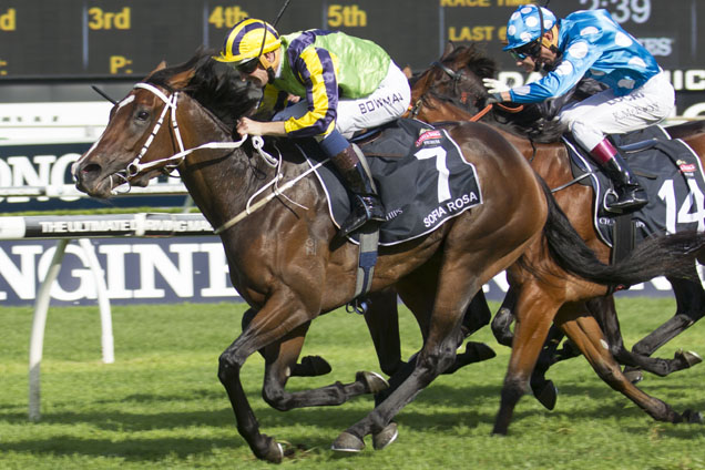 Danielle Johnson To Ride Sofia Rosa | Racing and Sports