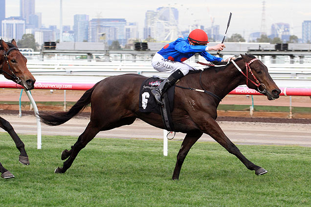 2017 Stradbroke Handicap - Ulmann A Trial Eye-Catcher | Racing and Sports