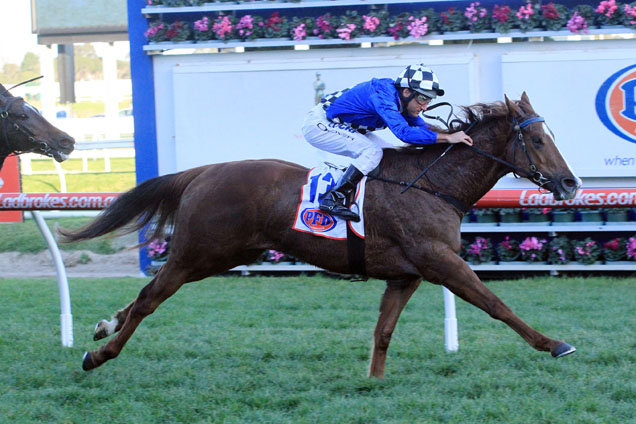 Wild Rain Right To Run At Moonee Valley | Racing and Sports