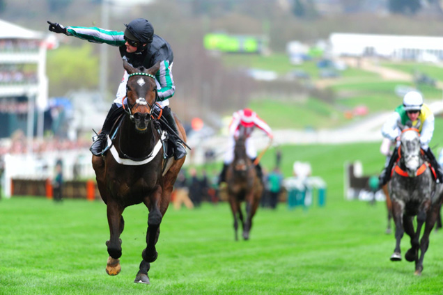 Altior And Douvan Entered In Queen Mother Champion Chase At Cheltenham ...