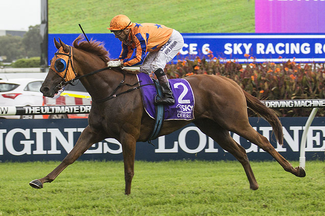 Gingernuts Zeroes In On Derby Double | Racing and Sports