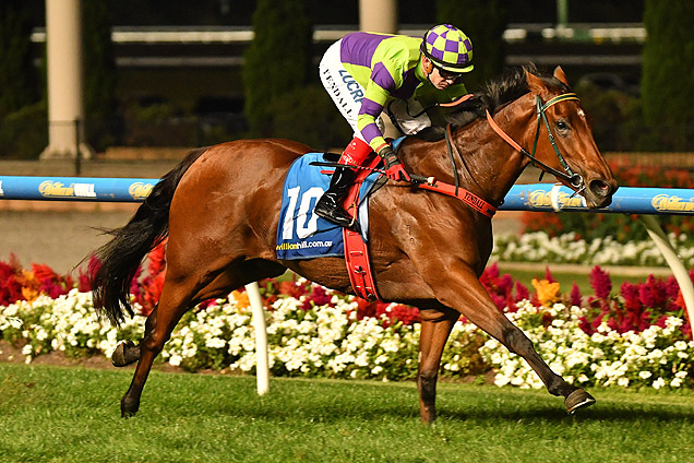 2021 Sunline Stakes: Race History | Racing and Sports