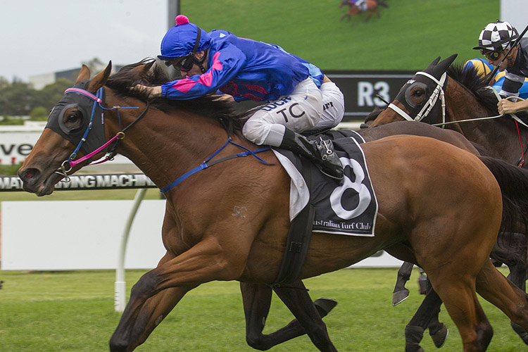 Lauri Wray Has Lord Kingsley Flying Into The Atc Cup | Racing and Sports