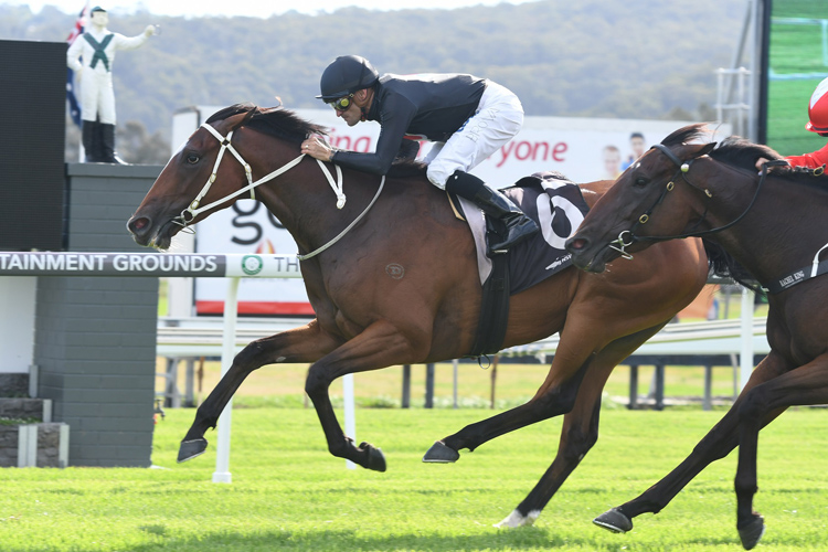 2021 Belle Of The Turf Stakes: Race History | Racing and Sports