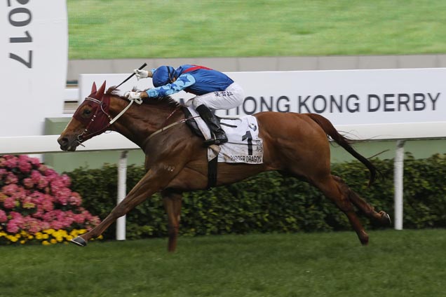 Hong Kong Star Rapper Dragon Euthanised | Racing and Sports