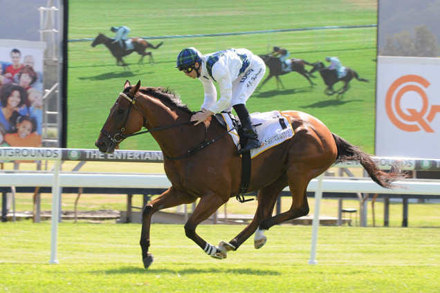 Red Excitement To Line Up In Chelmsford | Racing and Sports