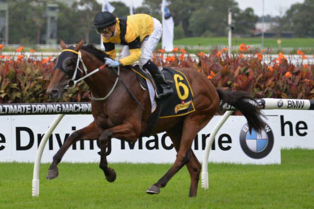 2022 The Schweppervescence: Race History | Racing and Sports