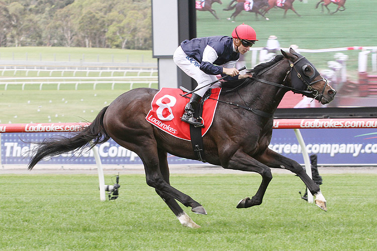 Payroll Eclipses Sandown Rivals | Racing and Sports