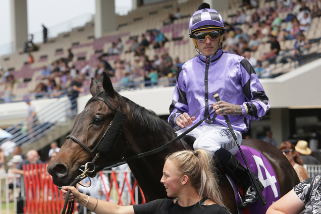 Mahoney Delighted With Former Hk Duo | Racing and Sports