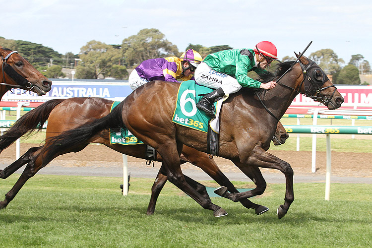 Weather With You Begins Derby Campaign | Racing and Sports