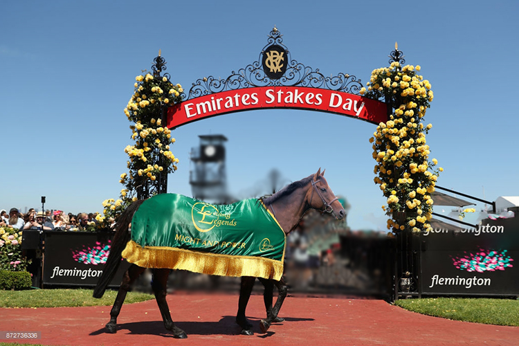 Might And Power Dies Aged 26 | Racing and Sports