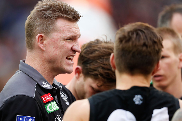 Buckley Mulls Next Move After Dees Unveil New Afl Coach | Sky Racing ...