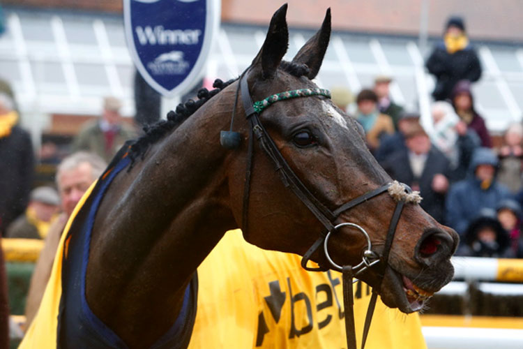 Champion Chase Big Guns Altior And Douvan Stand Ground For Cheltenham ...