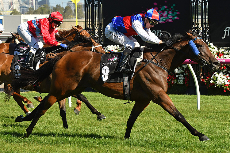 Soho Ruby Lands Prize For Levi Kavanagh | Racing and Sports