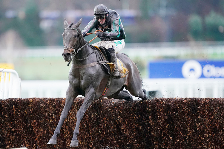 Altior The Star Attraction In Queen Mother Champion Chase | Racing and ...
