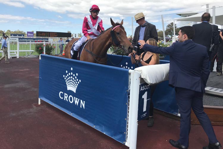 2020 Colonel Reeves Stakes: Tips And Race Preview | Racing and Sports