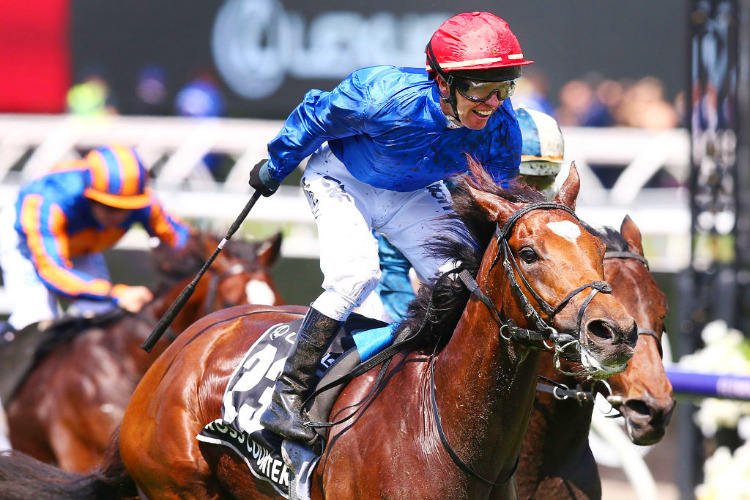 Cup First Past The Post: Cross Counter | Racing and Sports