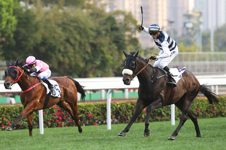 Poignant Win For Rawiller As Memories Of Elvstroem Flood Back With Hero ...