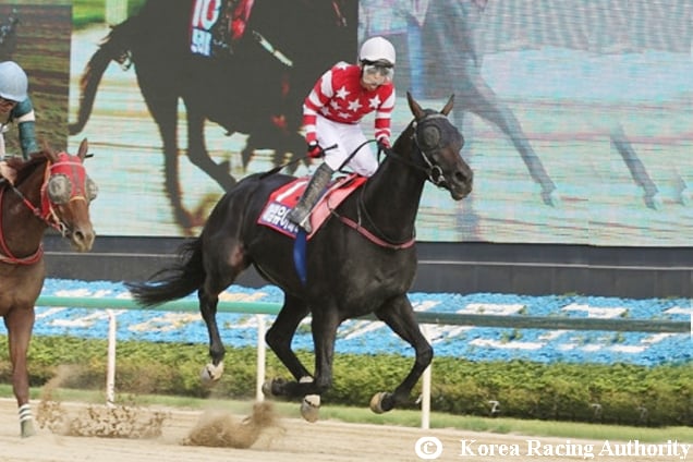 Busan - Thursday, 15 January | Sky Racing World | Sky Racing World