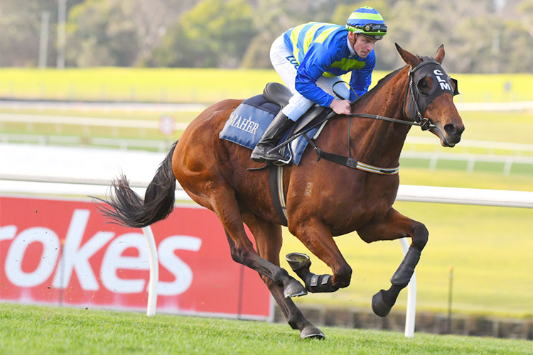 Son Of Jameka To Follow Mum's Lead | Racing and Sports