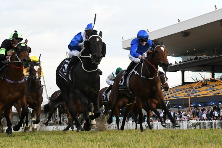 Mudgee In Celebration Mode For Friday's Showcase Cup Day | Racing and ...