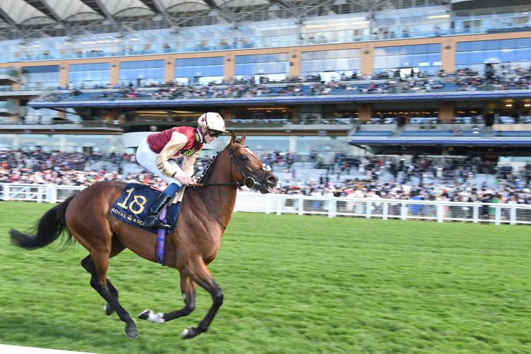 Mitchell Beer Excited At Prospects Of Melbourne Return | Racing and Sports