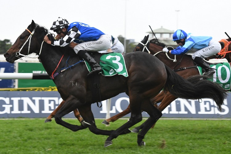 Princess Posh Back In Winners' Circle | Racing and Sports