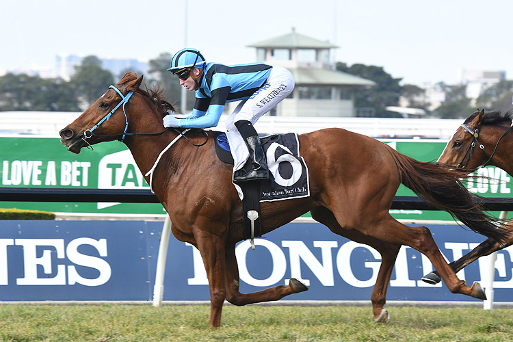 Cameron Crockett Is Hoping Sharpe Hussler Can Make The Kosciuszko ...