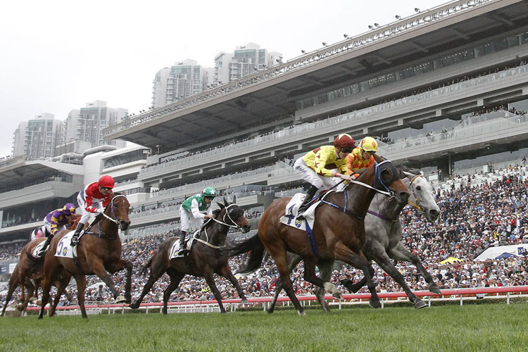 Southern Legend Primed For Mile Success | Racing and Sports