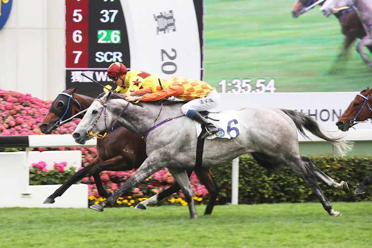 Southern Legend, Horse Of Fortune, Here Comes When And Ocean Emperor ...