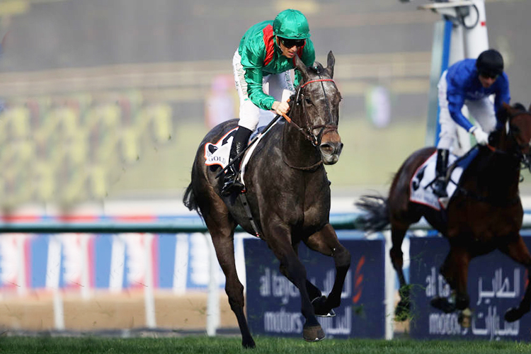 2025 Prix Vicomtesse Vigier: Race History | Racing and Sports