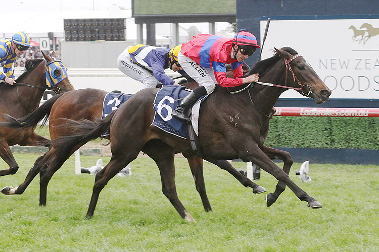 2022 Ethereal Stakes: Race History | Racing and Sports