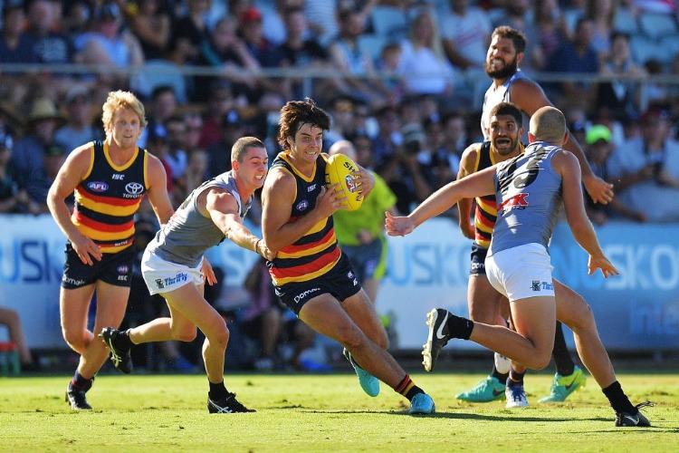 Dons' Draper Fears Confirmed, Crows Relieved On Fogarty | Racing and Sports