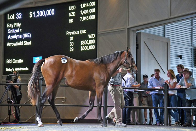 Easter Sale Day 1 - Super Start For Snitzel And Arrowfield | Racing and ...