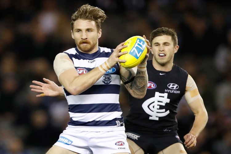 Tuohy On Verge Of Remarkable Afl Flag | Racing and Sports
