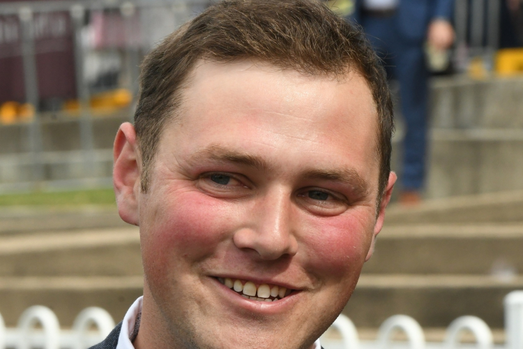 Ible's Championships Horse Steps Out At Kembla (Saturday) - Racing New ...