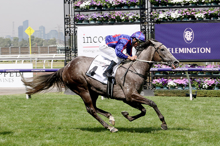 2020 Birthday Card Stakes: Latest Betting | Racing and Sports